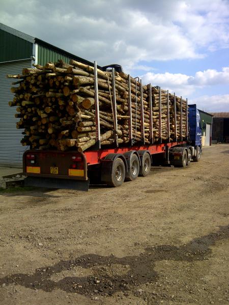 locally sourced timber for firewood – Ford Logs - Premium kiln dried ...